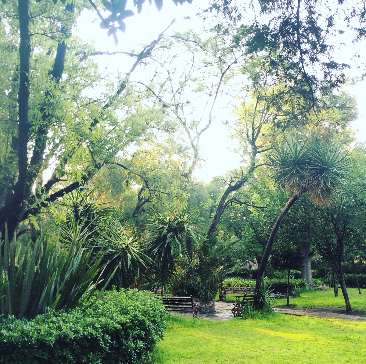 El Parque Guadiana – Sofía descubriendo…